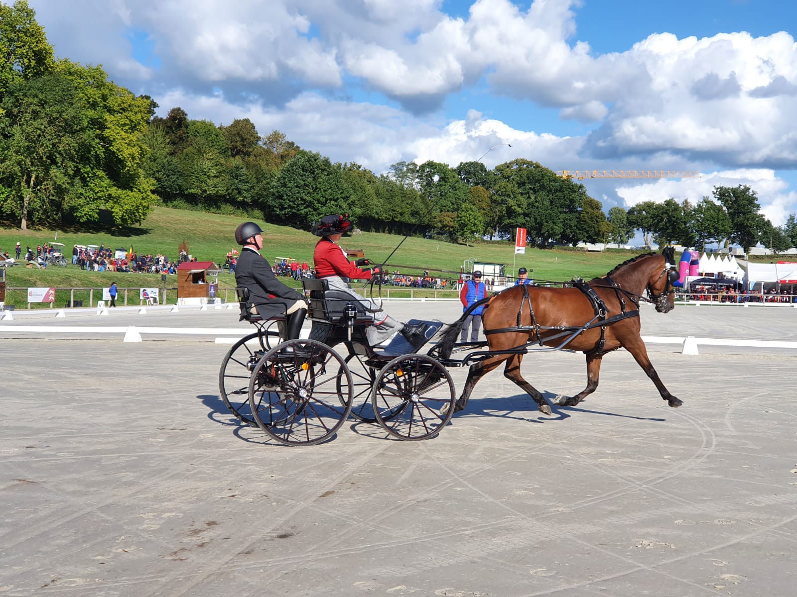 Laure Philippot s’illustre au Championnat du Monde d’attelage à 1 ...